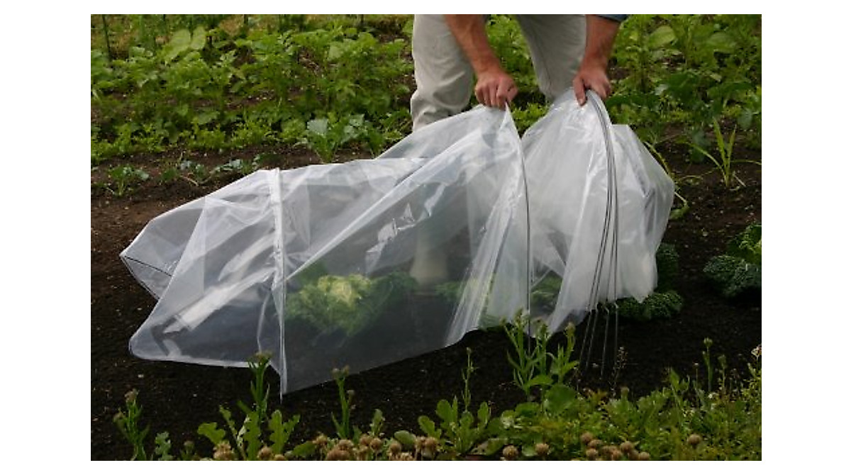 Giant Poly Tunnel Garden Cloche for Extended Growing Seasons
