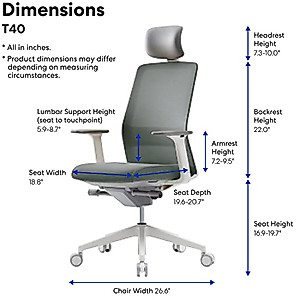 SIDIZ T40 Smart Ergonomic Office Chair : Home Office Chair with Easy Adjustments, Headrest, Lumbar Support, 3D Armrests, Seat Depth, Mesh Back Computer Desk Chair, Alternative Gaming Chair (Gray)