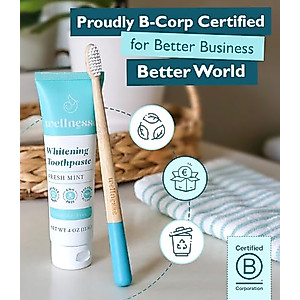 Wellnesse Whitening Toothpaste - Teeth Whitening Fluoride Free Natural Toothpaste - Fresh Mint - 3 Tubes, 4 oz - Made with Hydroxyapatite Powder, Green Tea Powder, and Aloe Vera