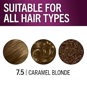 Schwarzkopf Keratin Color Permanent Hair Color, 7.5 Caramel Blonde, 1 Application Professionally Inspired Permanent Hair Dye for up to 80% Less Breakage vs Untreated Hair and up to 100% Gray Coverage