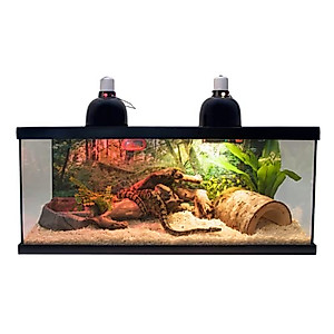 Zoo Med Laboratories SZMNTS21 Reptihabitat 20 Long Snake Starter Kit