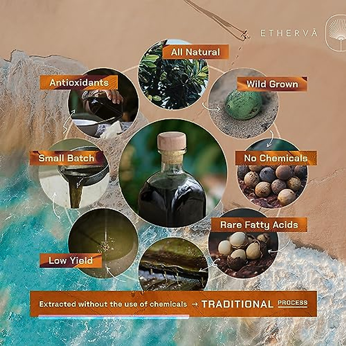 ETHERVA Cold Pressed Tamanu Oil | From Unrefined, Raw, Wild Grown Organic Tamanu Seeds | Vegan Indian Tamanu Oil For Skin, Body, Hair | Rich in Fatty Acids, Antioxidants | 1,240 ml (41.92 fl. oz.)