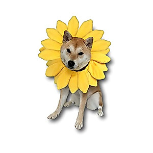 ComfyCamper Sunflower Dog Costume for Small Medium Large Dog Puppy Puppies Cat Kitten – Cute Head Flower Headband Outfits – Collar Cone Costume Hat Sombrero Outfit Pet Cosplay Halloween (X-Large)