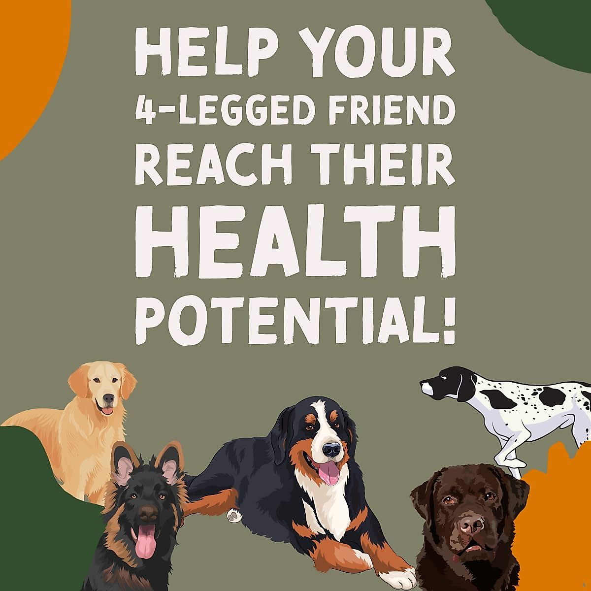 DogBone Wild Alaskan Fish Oil for Dogs 32 oz | Salmon Oil for Dogs | Dog Fish Oil | Omega 3 for Dogs | Dog Joint Supplement | Dogs Vitamins and Supplements | Salmon Oil for Dogs Skin and Coat