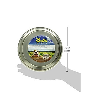 Loving Pets Bella Bowl Designer & Expressions Dog Bowl, Medium, Dragonfly, Turquoise