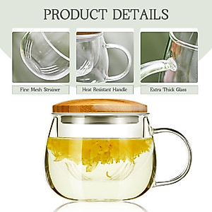 Uiifan Set of 2 Glass Tea Cup with Infuser and Lid 11.8 oz Clear Glass Mugs Thickened Glass Tea Infuser Cup with Removable Strainer for Steeping Blooming Tea Loose Leaf Tea Bag Family Daily