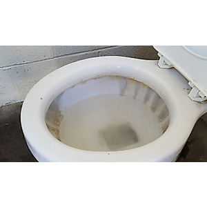 Bring It On Cleaner Water Spot Remover Plus 5 Inch Cleaning Drill Scrub Brush, Cleaning Drill Scrub Brush, Cleaning Brush for Drill, Drill Brush Attachment (16 oz)