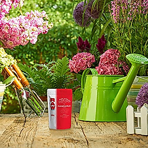 RAW- Phosphorus Plant Nutrient for Fruiting and Flowering/Increase Fruit Flower Yield/Plant Feeding Supplement/for Horticulture Purposes Indoor/Outdoor Use- 2 oz