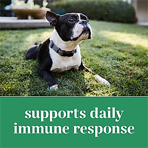 EverRoot Dog Supplements Powered by Purina Immunity Chewable Tablet with Spirulina and Antioxidants - 3.6 oz. Canister