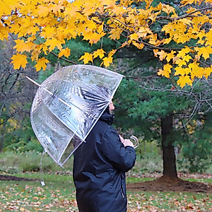 totes Adult Clear Bubble Umbrella with Dome Canopy, Lightweight Design, Wind and Rain Protection Umbrella, Iridescent, Adults - 51" Canopy