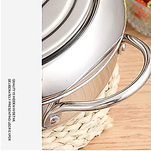 Stainless Steel Deep Fryer, 9.5 Inch Temperature Control Fryer with Lid and Oil Drip Rack, Tempura Frying Pot for Kitchen Cooking (3.2L/304)