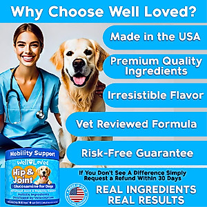 Well Loved Glucosamine for Dogs - Joint Supplement for Dogs, Made in USA, Vet Developed, Dog Joint Supplement, Glucosamine Chondroitin for Dogs, Advanced Hip and Joint Chews with MSM, Pain Relief, 120