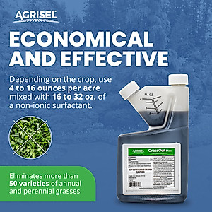 Agrisel GrassOut Max Weed Killer, Targets 50+ Grassy Weeds Without Harming Desired Plants, Pet Safe, Large Area Treatment, Easy Application, Includes 3-Pack of Agrisel Protective Gloves, 16 Ounces