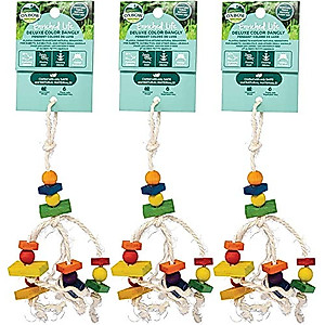 Oxbow Animal Health 3 Pack of Enriched Life Deluxe Color Dangly Small Pet Chew Toys