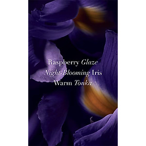 Victoria's Secret Tease Candy Noir 3.4oz Eau de Parfum