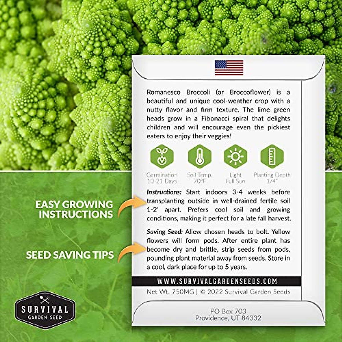 Survival Garden Seeds - Romanesco Broccoli for Planting - Packet with Instructions to Plant and Grow Delicious & Beautiful Fractal Broccoli Heads Your Home Vegetable Garden - Non-GMO Heirloom Variety