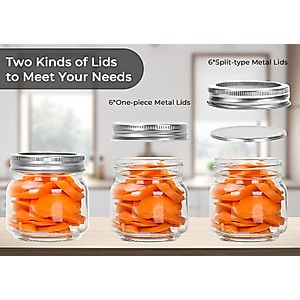 Eathtek Small Mason Jars 8oz/240ml with Regular Lids, 6 Pack Glass Canning Jars With Labels, Mini Glass Jars for Jam Jelly Spice Honey Herbs, Wedding Shower Favors Food Storage Candle Jars
