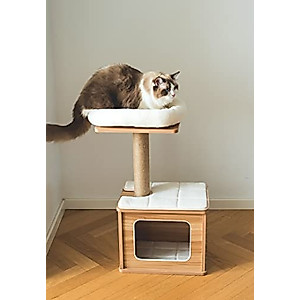 Catry Cat Tree - A Cat Play House Combo with Cat Hammock, Scratching Post, and Comfort Home Invariably Trap Kitten to Stay Around This 30” Easy Assembled Sturdy Cat Furniture, Beige