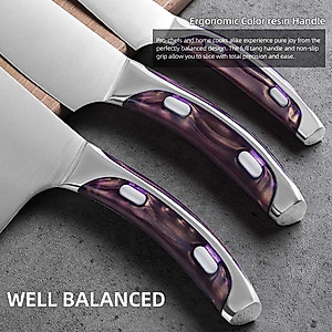 Full Tang Butcher Knife, Handmade Forged Kitchen Chef Knife, High Carbon Clad Steel Butcher Cleaver (3PCS Set)