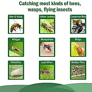 4 Pack Wasp Traps Outdoor Hanging, Yellow Jacket Killer, Carpenter Bee Traps for Outside, Wasp Repellent Outdoor, Reusable Bee Catcher Hornet Trap for Garden, Yard, Insect Fly Trap, Green