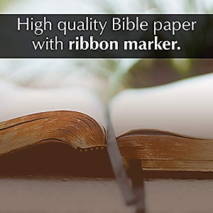 The Passion Translation New Testament, Peony (2nd Edition, Hardcover) – In-Depth Bible with Psalms, Proverbs, and Song of Songs, Makes a Great Gift for Confirmation, Holidays, and More
