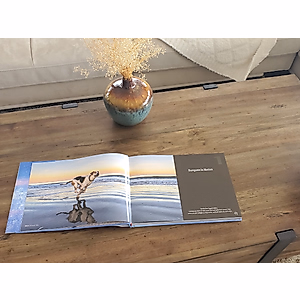 BEACH DOGS: A Coffee Table Photography Book of Joy for Dog Lovers