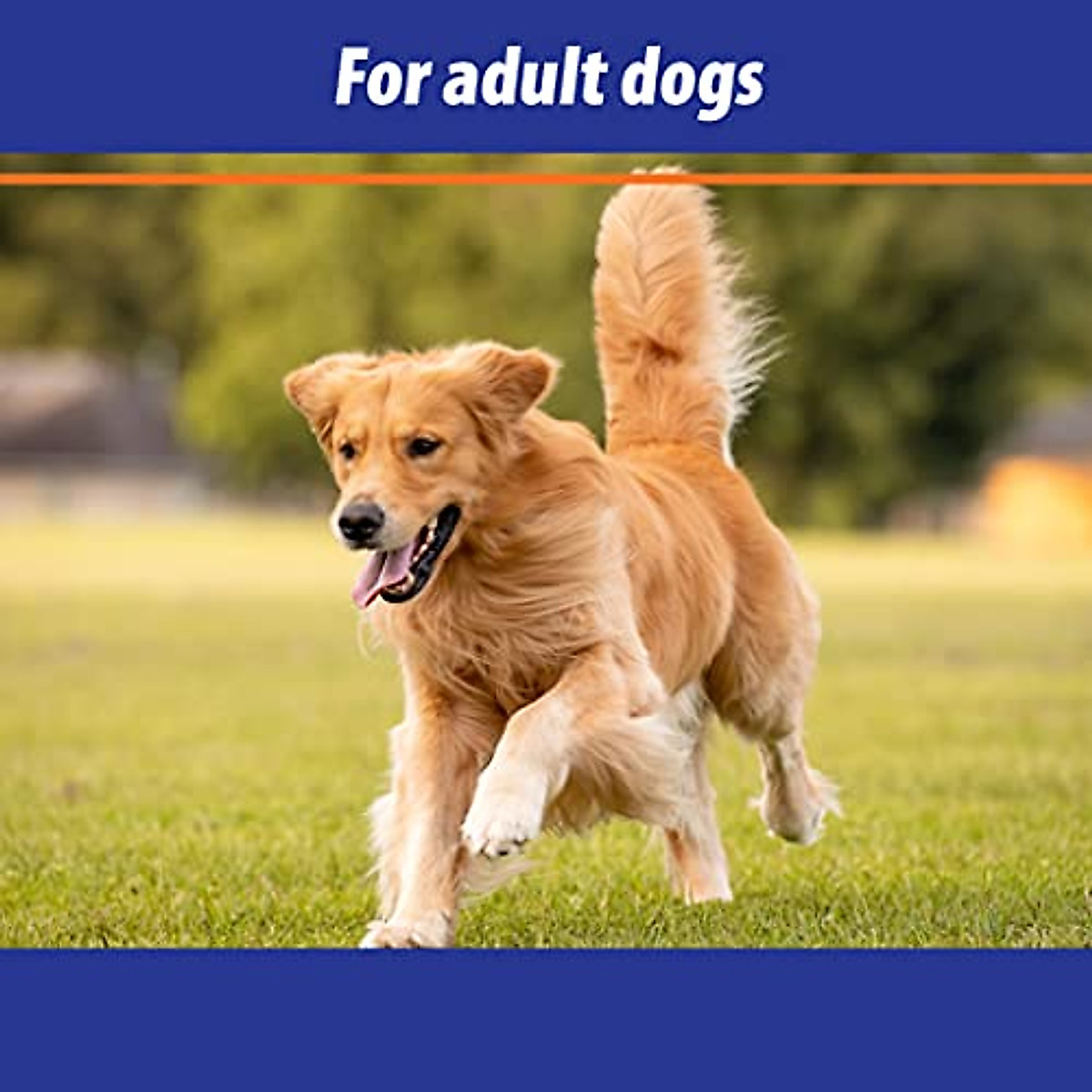 Exmarid Dry Skin Formula With Starflower Oil, 150ml