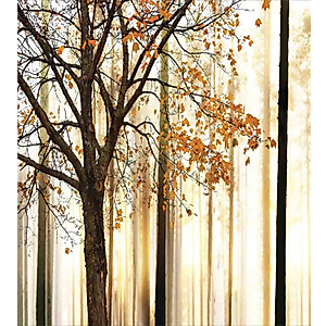 Ambesonne Autumn Duvet Cover Set, Picture of a Lonely Tree Leaves on an Abstract Woodland Background Print, Decorative 3 Piece Bedding Set with 2 Pillow Shams, Queen Size, Orange Brown