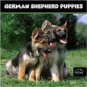 MICASA German Shepherd Puppies 2024 Wall Calendar 12 Month | 12" x 24" Open | Thick & Sturdy Paper | Giftable | Calendar 2024