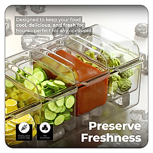 Prime Home Direct Ice Chilled Condiment Caddy | 5 Containers & Lids | Hosting Party Supplies Serving Tray Platter | Buffet, Food Server, Fruit, Garnish, Mimosa, Salad, Taco Bar Accessories Organizer