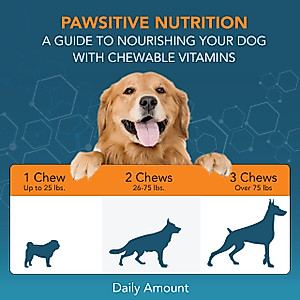 NOVEHA Eye Supplement for Dogs (90 Chews)- Vision Support with Lutein + Vitamin C & Astaxanthin Antioxidants - Dog Vitamins for Eyes + Fish Oil for Omega 3 EPA - Made in USA