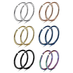 WBRWP 316L Stainless-Steel Piercing-Ring Hinged Nose-Rings-Hoop : 20G Womens and Mens Body Pierecing Ring Segment Clicker Lip Rings Cartilage Rook Earrings Diameter 8mm (each color 2 piece)