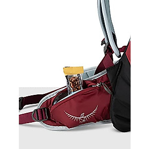 Osprey Hikelite 28L Unisex Hiking Backpack, Pine Leaf Green, M/L