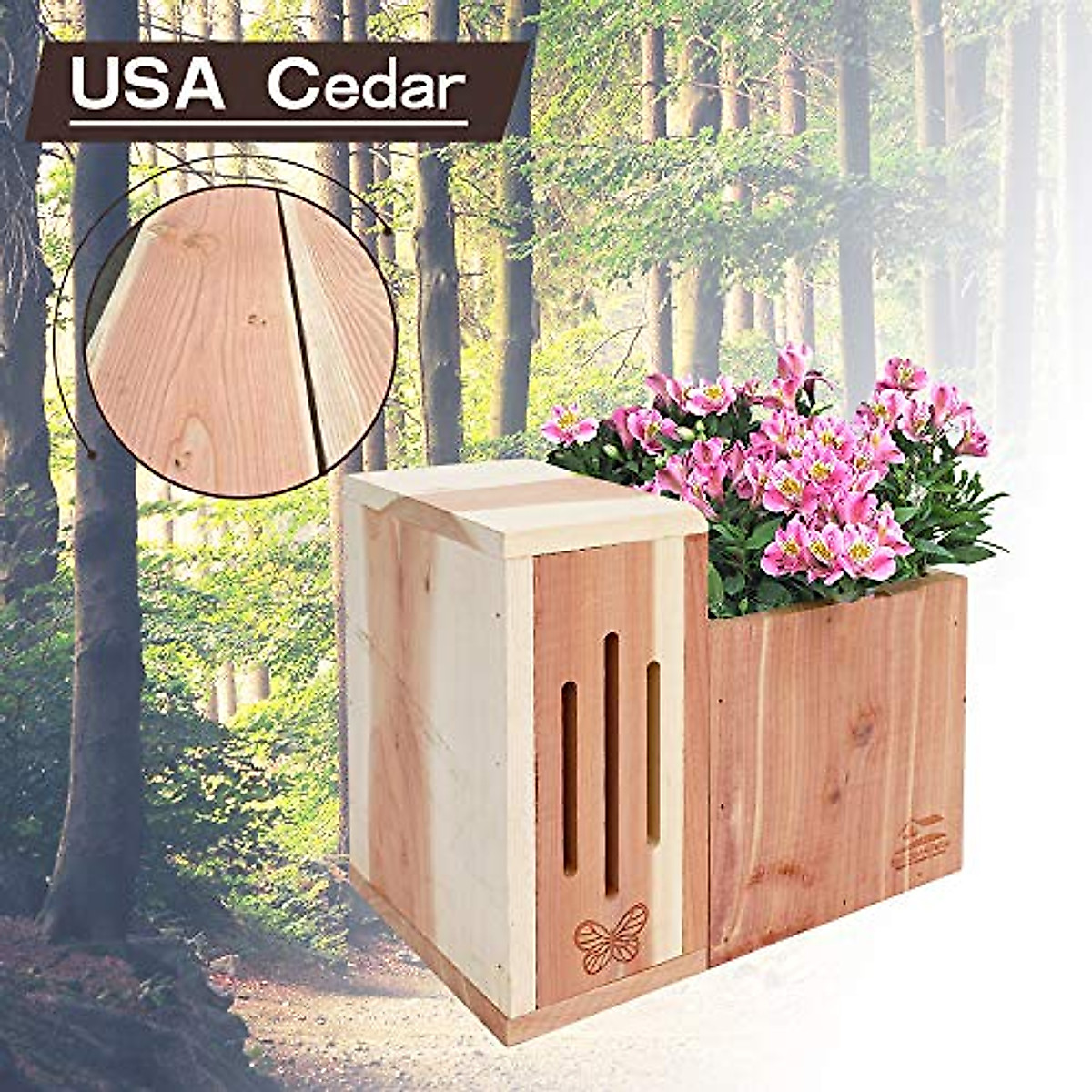 Solution4Patio USA Cedar Butterfly House & Flower Pot 2 in 1 Combination Multifunctional Design with Drainage Holes, 9.2 in. L x 5.7 in. W x 8.0 in. H #B309A00