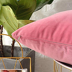 MERNETTE Pack of 2, Velvet Soft Decorative Square Throw Pillow Cover Cushion Covers Pillow case, Home Decor Decorations for Sofa Couch Bed Chair 22x22 Inch/55x55 cm (Pink)