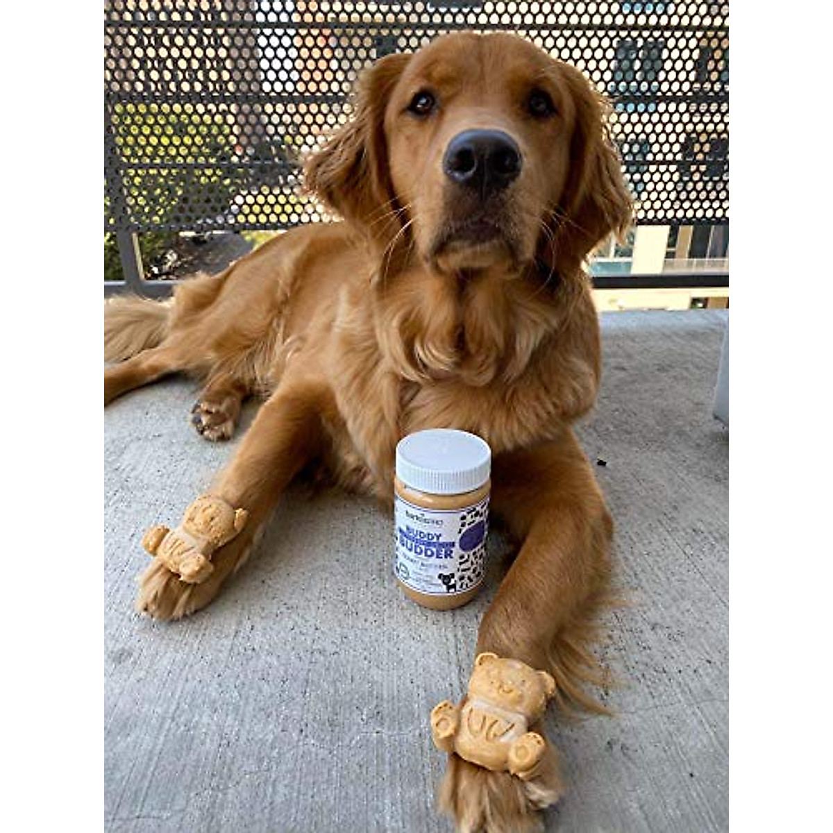 BUDDY BUDDER Bark Bistro Company, Superberry Snoot + Barkin Banana + Pumpkin Pup, 100% Natural Dog Peanut Butter, Healthy Dog Treats - Made in USA (Set of 3 / 17oz)