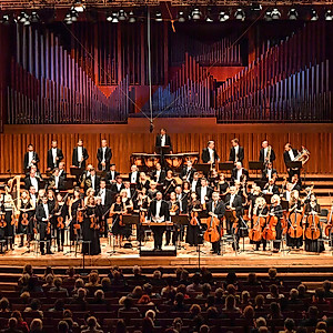 BETOPPER Stage Spotlight with/Barn Door, 200W COB Stage Light, Warm & Cold White LED DMX Light, Master-Slave Spot Light Strobe Lighting, Fresnel Lights for Church Wedding Theater Photo Studio(1 Pack)