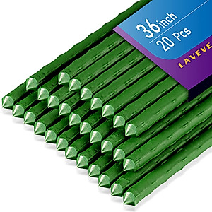 LAVEVE Garden Stakes 36 Inches Heavy Duty Steel Tomato Stakes, Plastic Coated Support Stakes for Securing Trees, Climbing Plants, Cucumber, Beans, 20 Pack