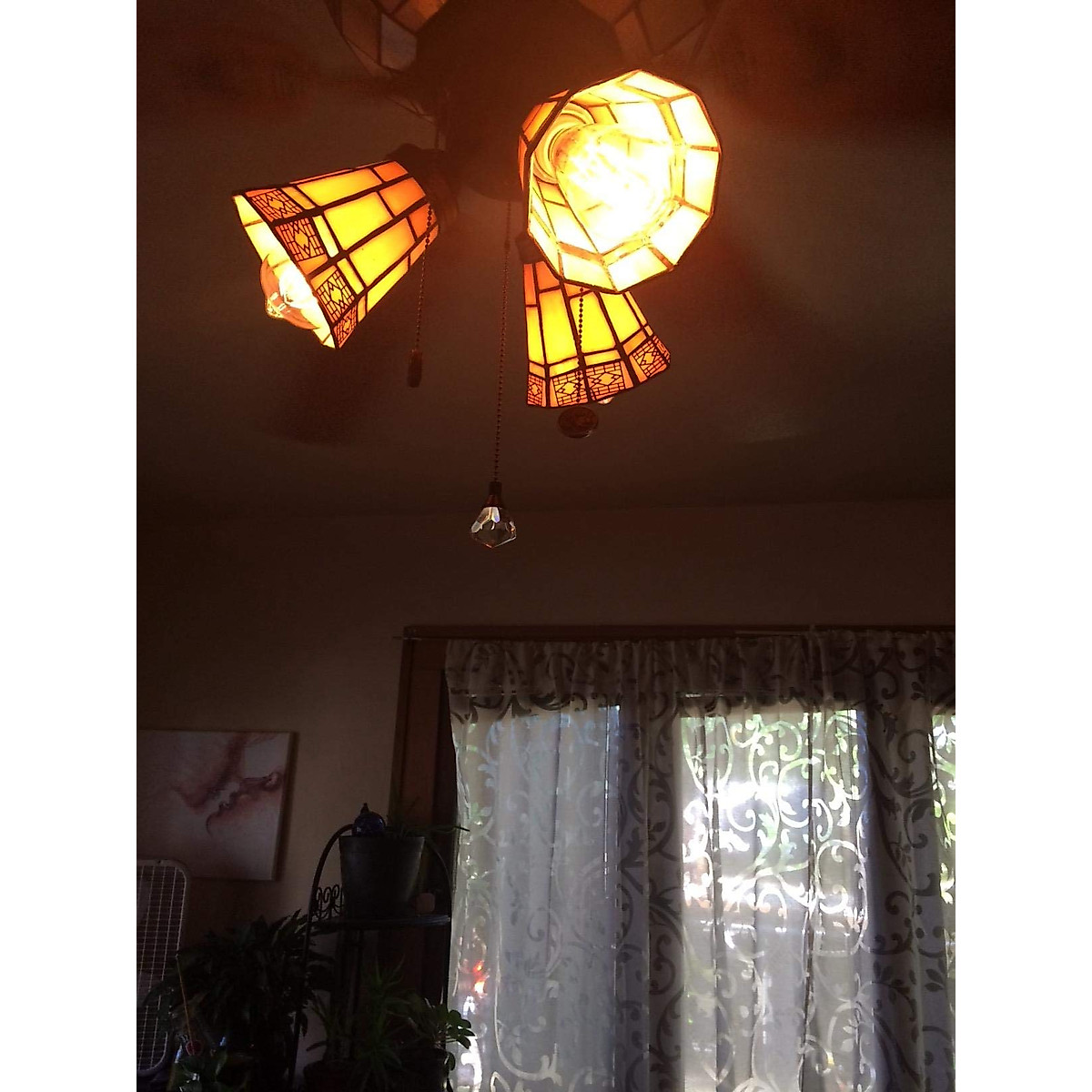 Rolay 6 Pack, 25 Watt Vintage Edison Light Bulb with Squirrel Cage Filament, 110~130 Volts, E26 Base