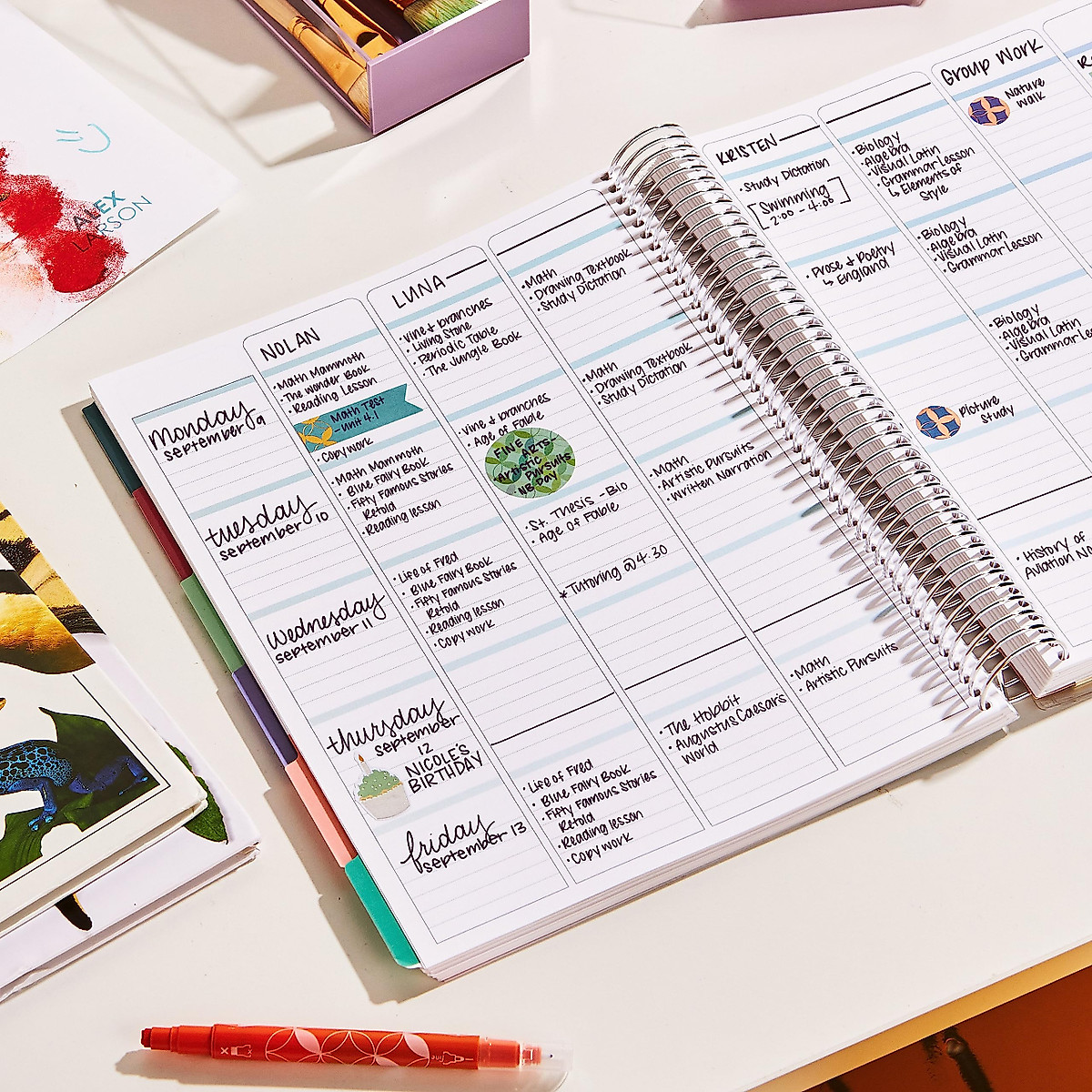 Undated Homeschool Planner 8.5&quot; x 11&quot; Platinum Spiral 12-Month. Colorful Cosmos Classic Cover by Erin Condren