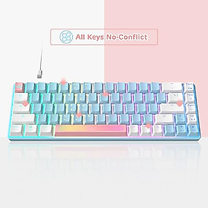MANBASNAKE MK14 60% Mechanical Gaming Keyboard, Compact 68 Keys Mini Wired Office Keyboard, Hot Swappable RGB Gaming Keyboard with Blue Switch for Windows/Laptop/PC/Mac Gamer