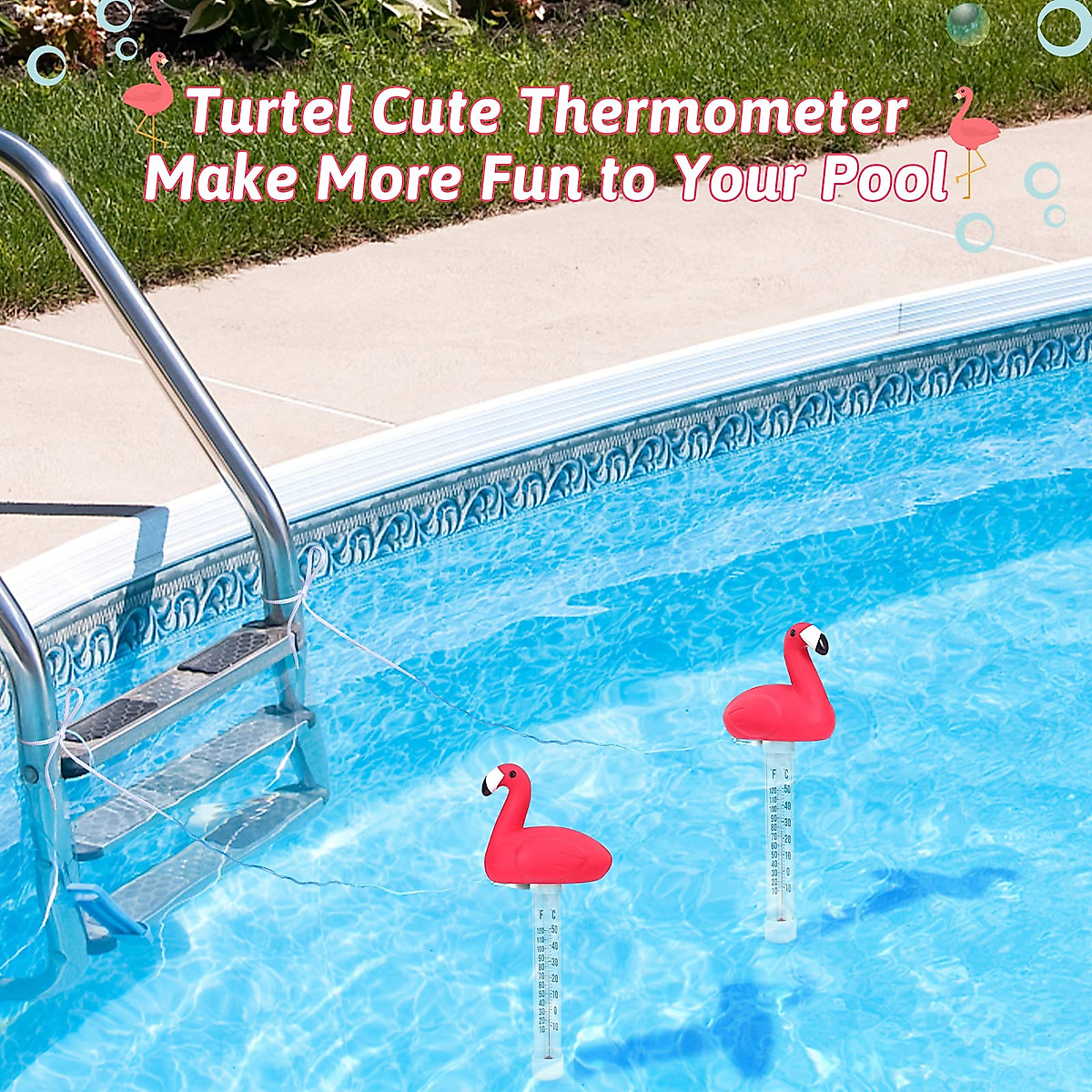 Floating Pool Thermometer, Pool Temperature Thermometer for Cold Plunge, Large Display, Easy to Read, Shatter Resistant, for Outdoor & Indoor Swimming Pools, Spas, Hot Tubs & Aquariums (Flamingo)