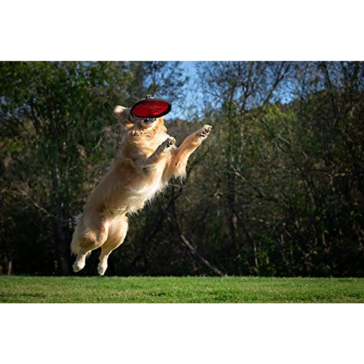 Hyper Pet Flippy Flopper Dog Frisbee Interactive Dog Toys [Flying Disc Dog Fetch Toy – Floats in Water & Safe on Teeth] (Colors Will Vary), Multicolor, 9"