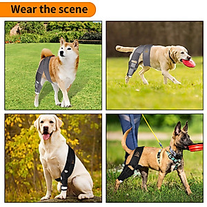 Landwill Dog Knee Brace for Cruciate Ligament Injury Joint Pain Muscle Soreness. Adjustable Dog Leg Brace, Dog Support Brace,Dog Hind Leg Support.(Black L)