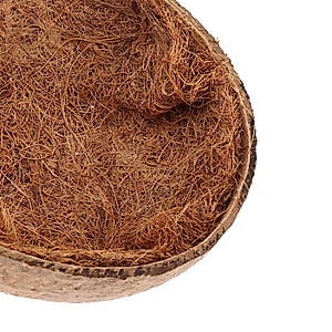 Leefasy Friendly Coconut Shells Parrot Nest House Cage for Birds Parakeet Parrots Nest Decoration