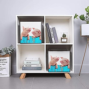 Funny Pig Collapsible Storage Bins Basics Folding Fabric Storage Cubes Organizer Boxes with Handles