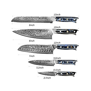 SANMUZUO Chef Cooking Knives Set- Kitchen Knife Set of 5 Piece - Ultra-Sharp VG10 Damascus Steel & Resin Handle - Xuan Series (Starry Black)