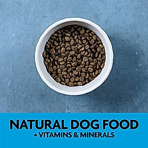 Evolve Pet Food Simply Six Chicken and Brown Rice Recipe Dog Food 4 lb. Bag