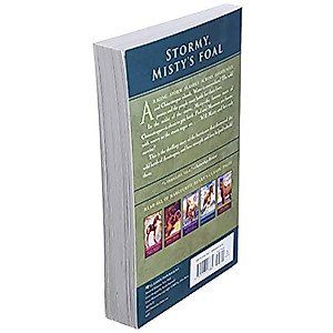 Stormy, Misty's Foal