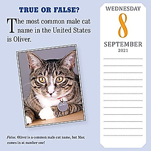 A Year of Cat Trivia Page-A-Day Calendar 2021